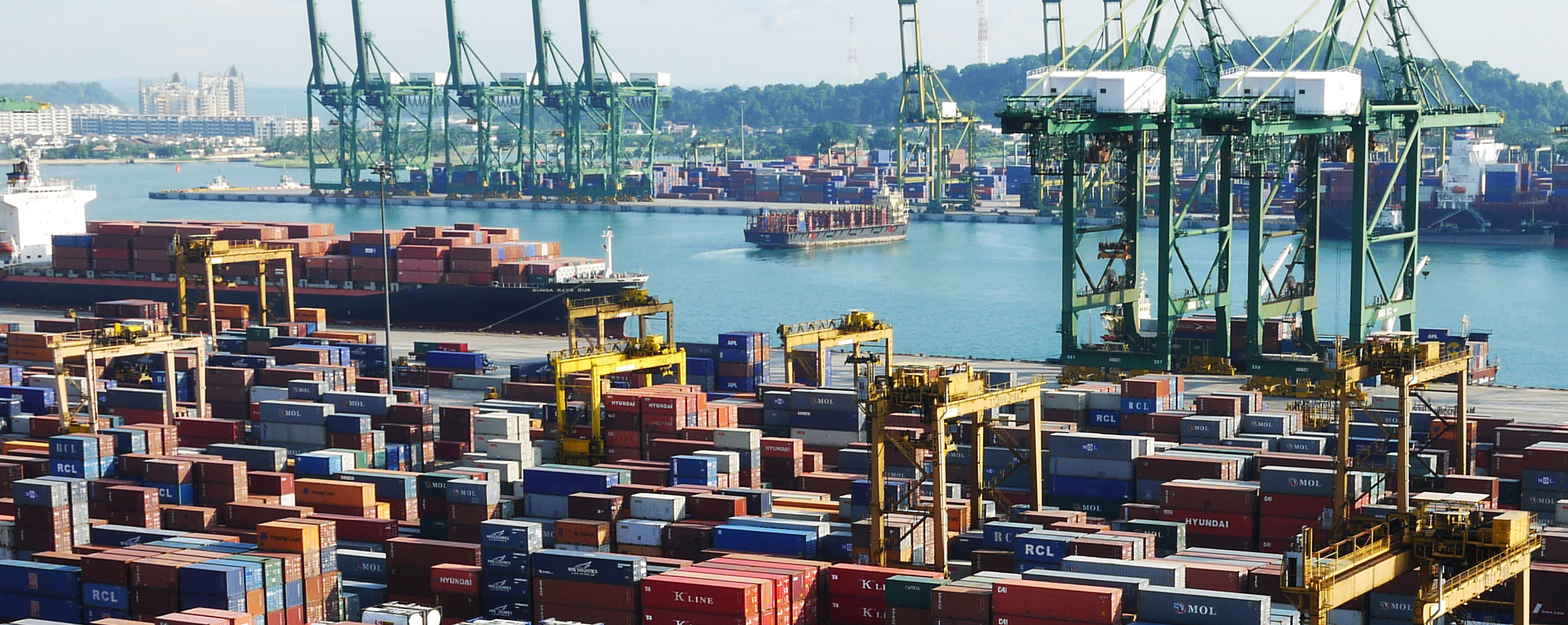 Shipping Tools | Alliance Shipping Group